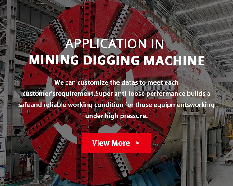 Locking Nut, Anti Vibration Nut, Self Lock Nut, Automobile looseproof ...